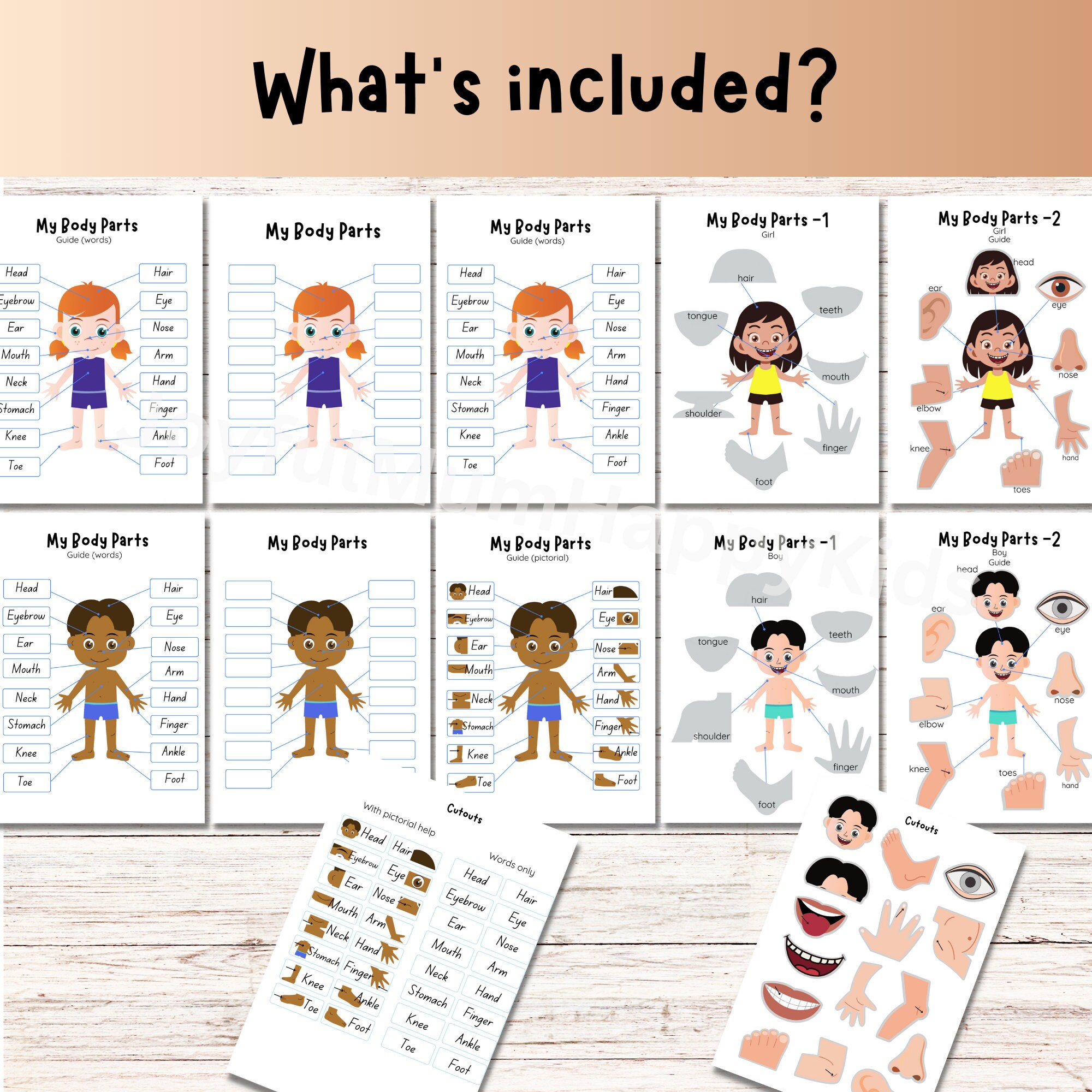 Body Parts Human Anatomy Toddler Busy Book Learning Binder Printable ...