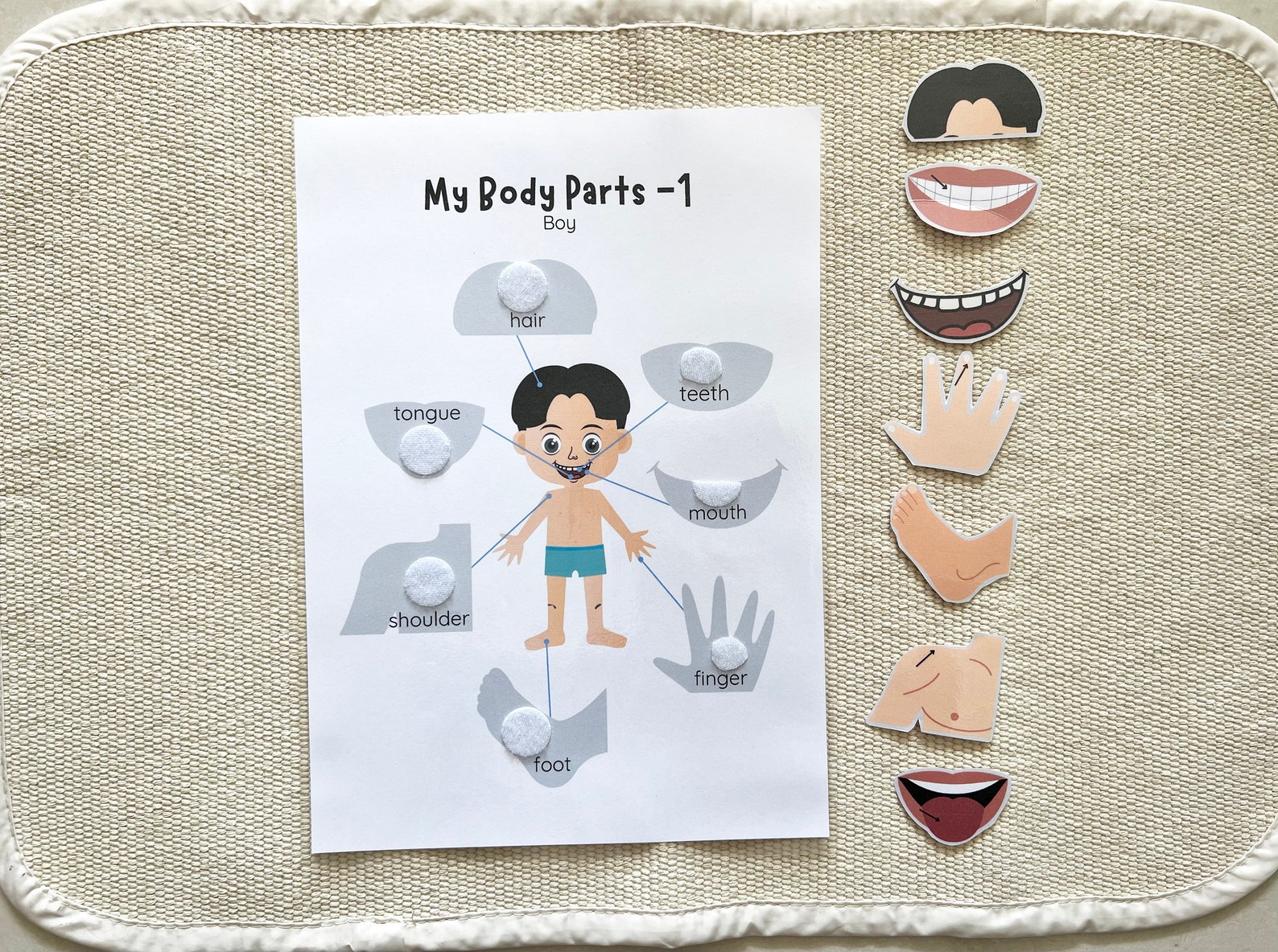 Body Parts Human Anatomy Toddler Busy Book Learning Binder Printable ...