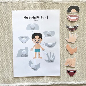 Body Parts Human Anatomy Toddler Busy Book Learning Binder Printable ...