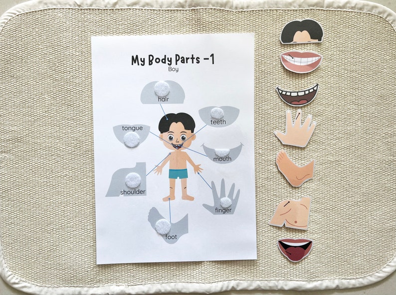 Body Parts Human Anatomy Toddler Busy Book Learning Binder Printable ...