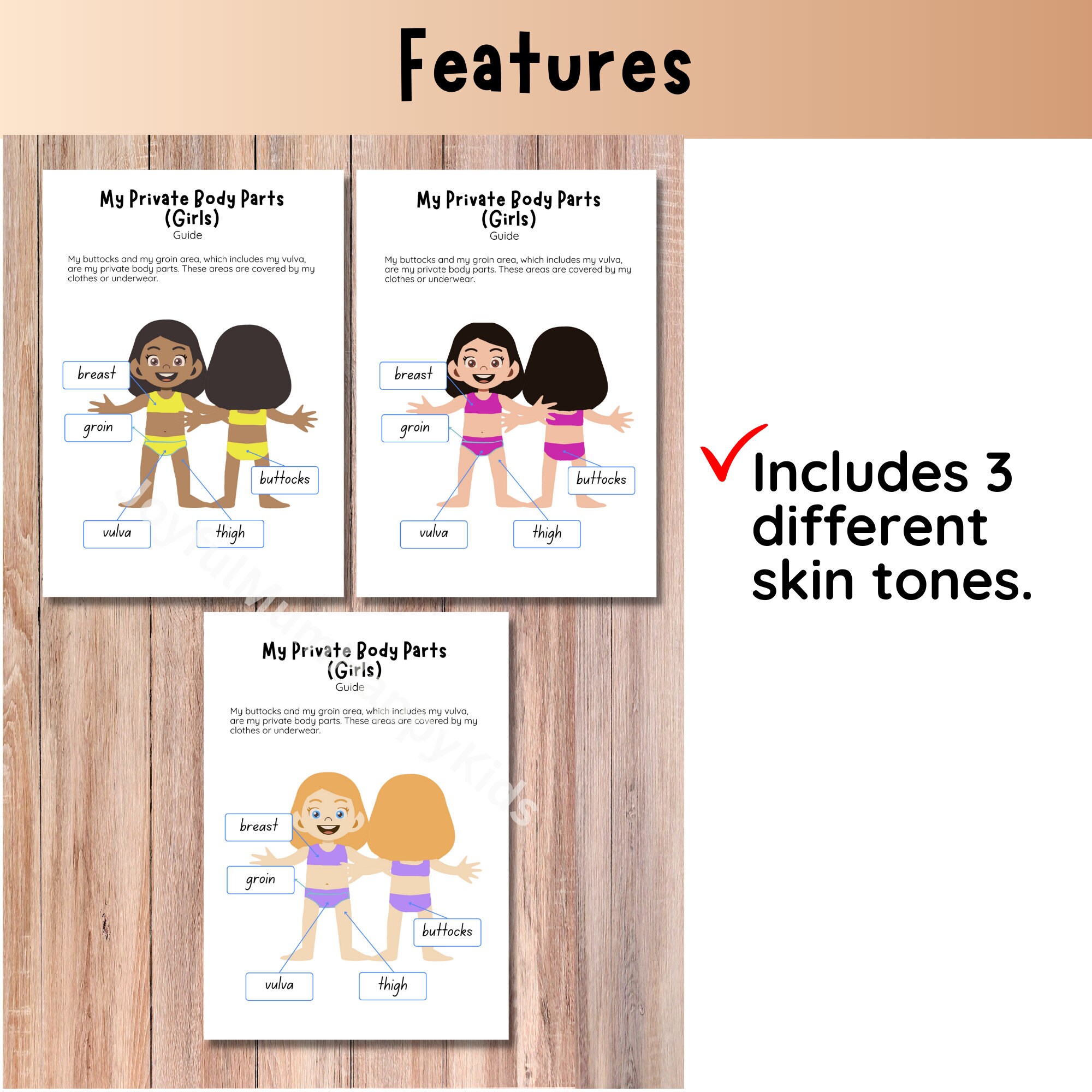 Female Reproductive System Toddler Busy Book Human Anatomy Private ...