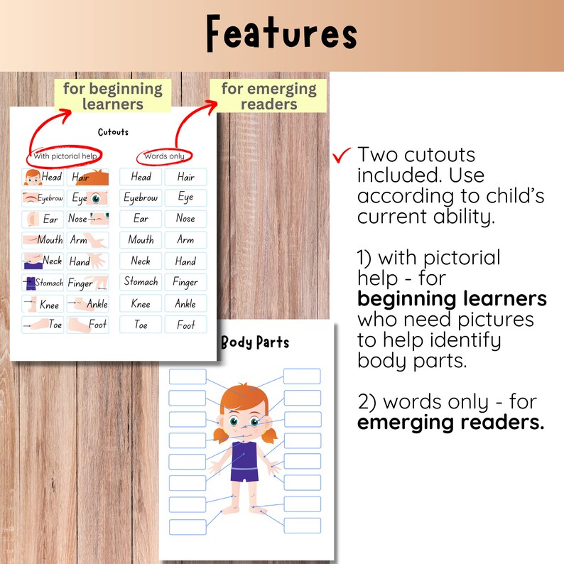 Body Parts Human Anatomy Toddler Busy Book Learning Binder Printable ...