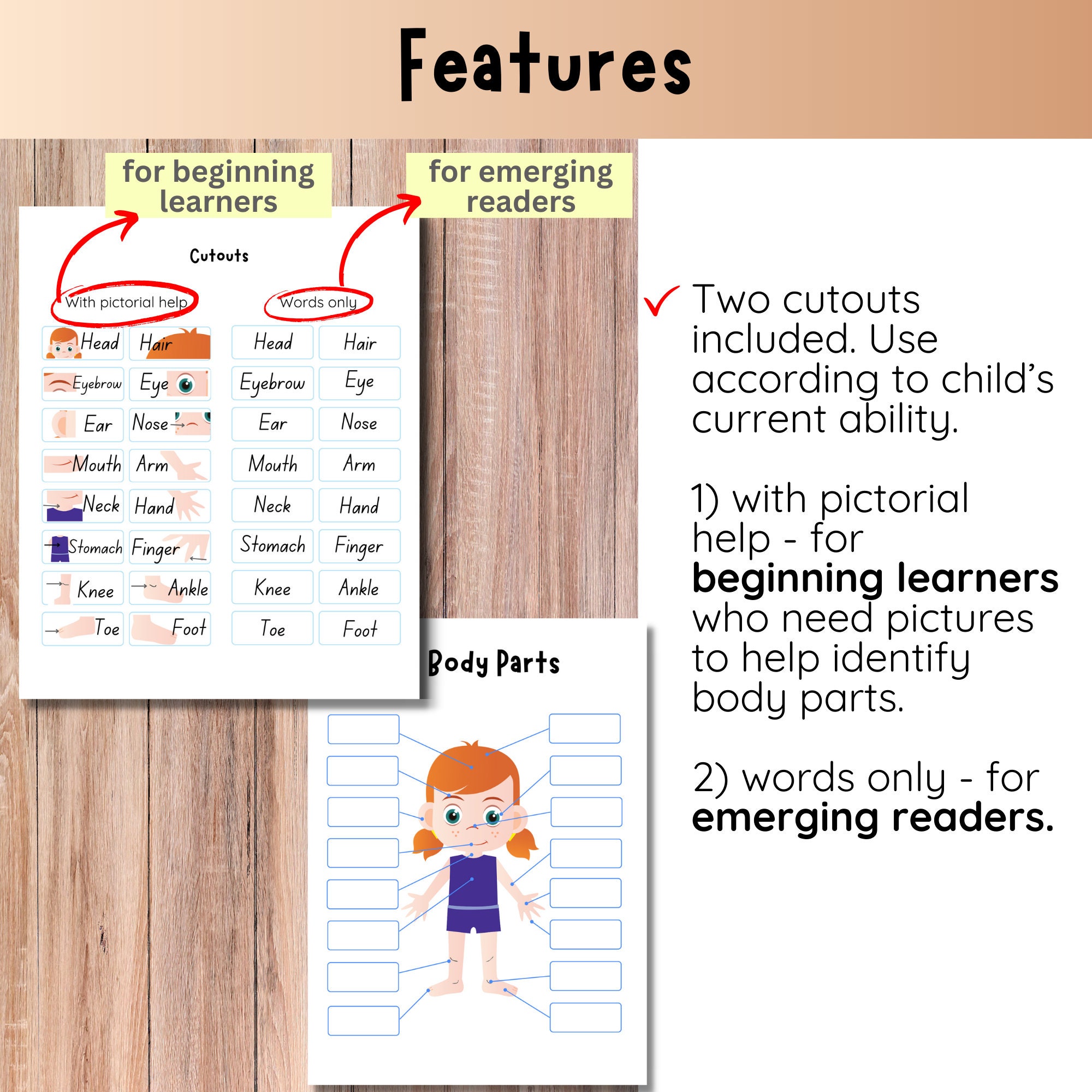 Body Parts Human Anatomy Toddler Busy Book Learning Binder Printable ...