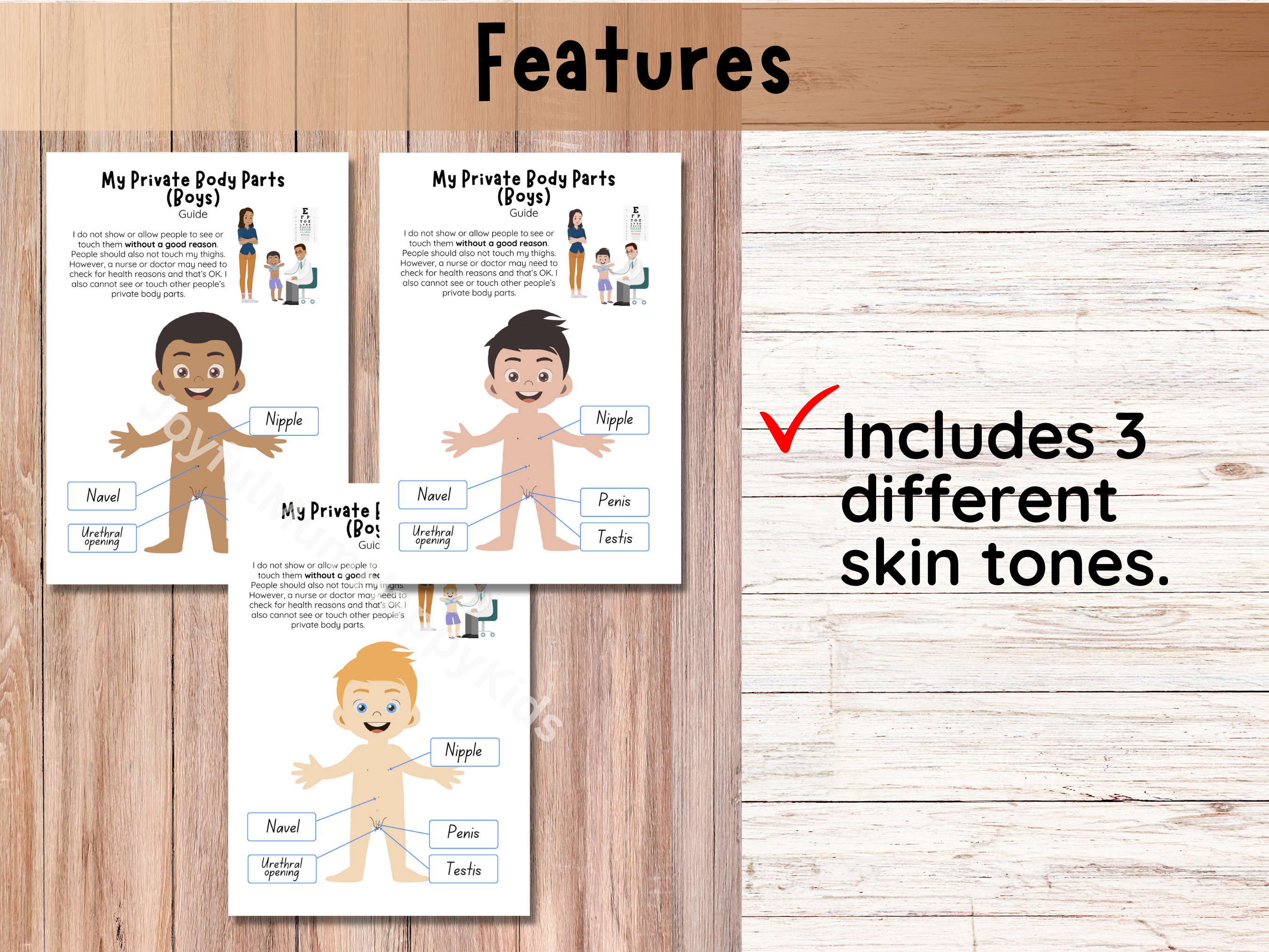 Male Reproductive System Toddler Busy Book Human Anatomy Private Parts ...