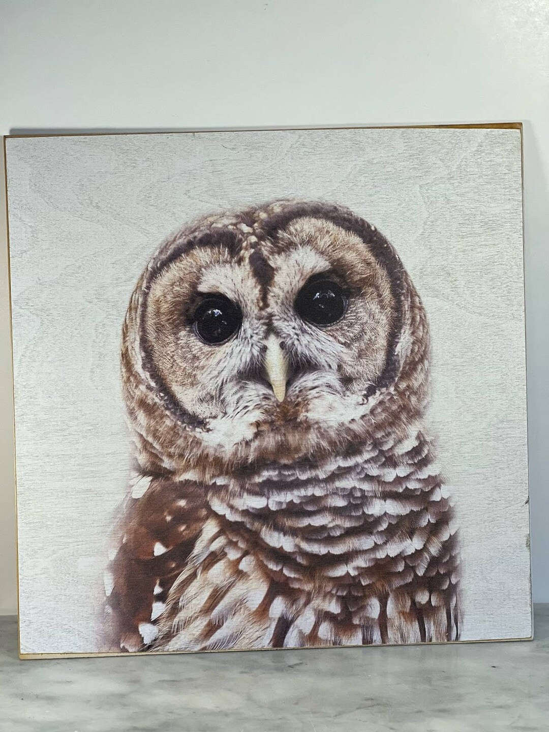 Vintage Owl Art in Wood - Etsy