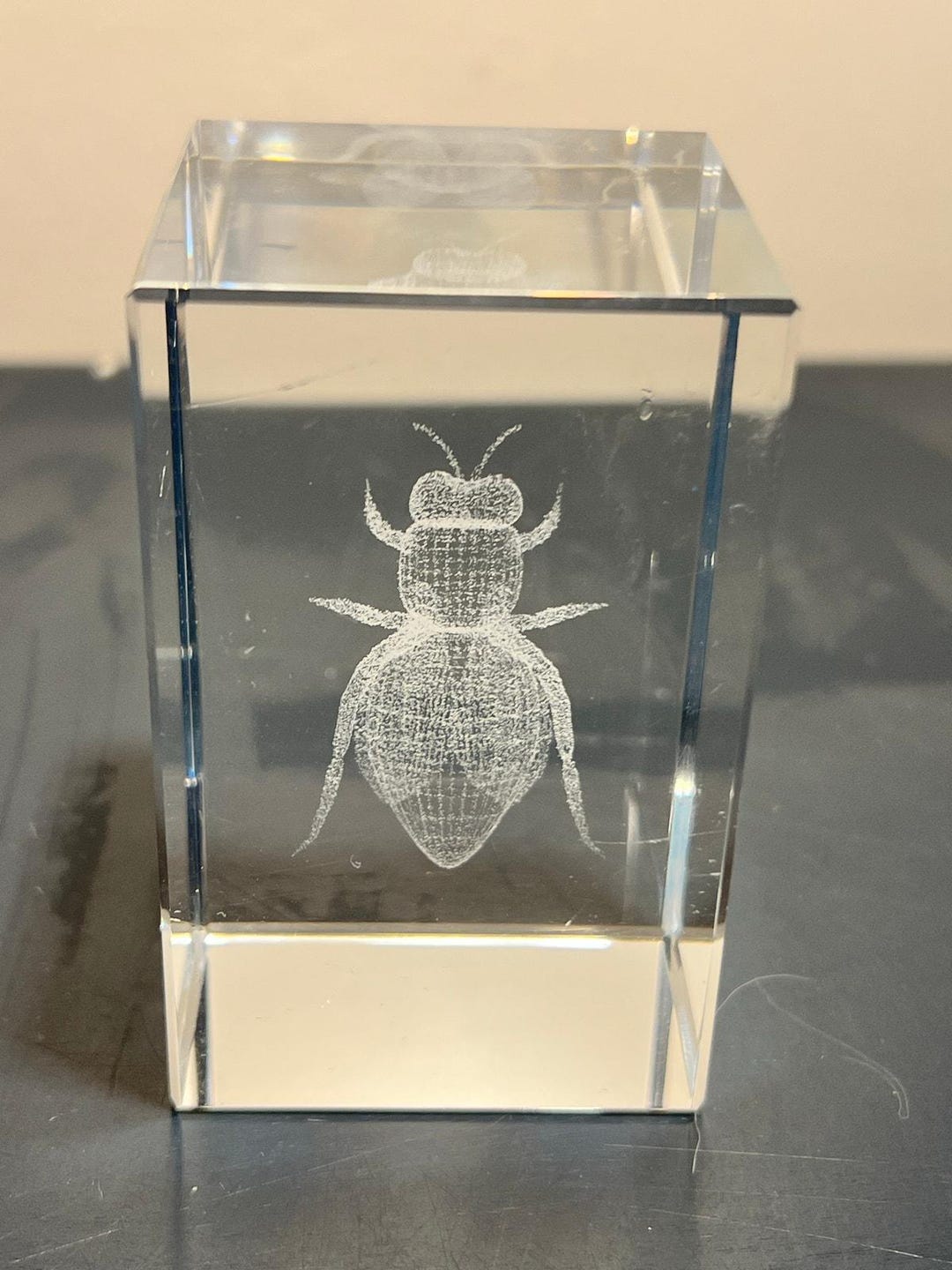 Vintage Glass Block Laser Etched Paperweight Block Bee - Etsy