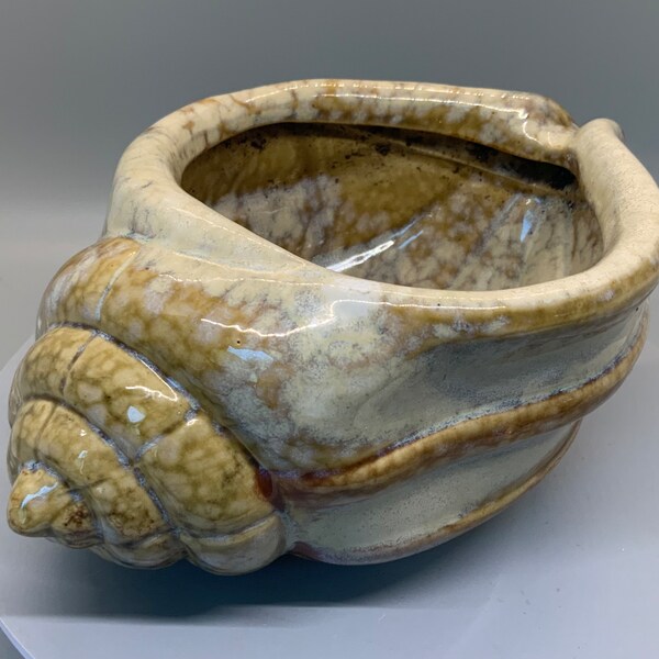 Seashell Vase - Etsy