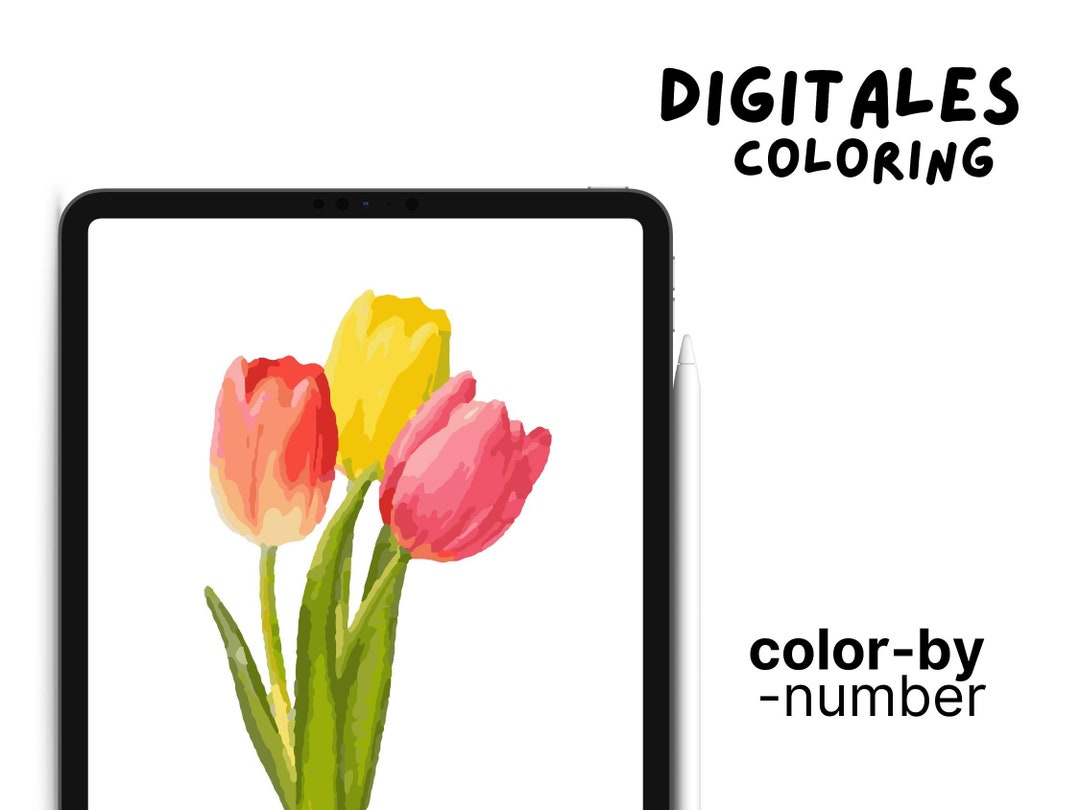 Three Tulips Coloring Page Color by Number Digital Coloring - Etsy