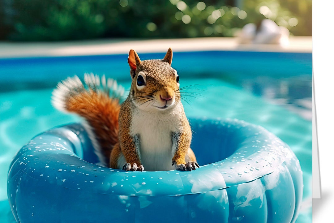 Squirrel in Swimming Pool, Pool Squirrel on Pool Toy, Squirrel Lovers, Squirrel Card, Funny ...