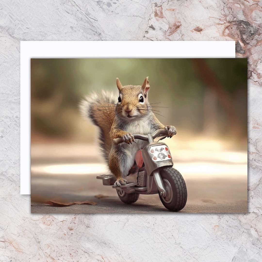 Squirrel Riding Motorcycle Custom Squirrel Card for Squirrel Lovers ...