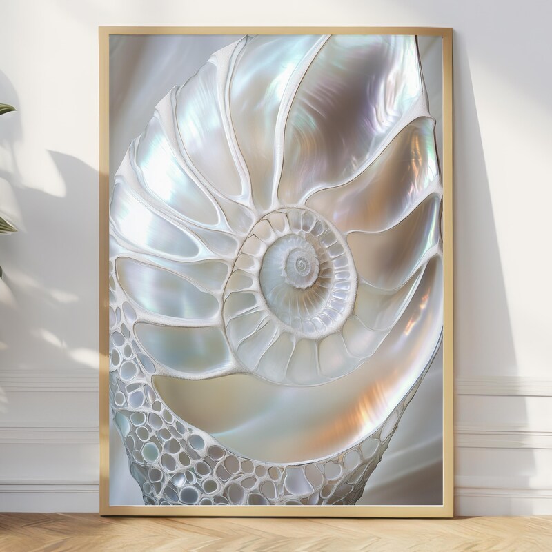 Nautilus Art - Etsy
