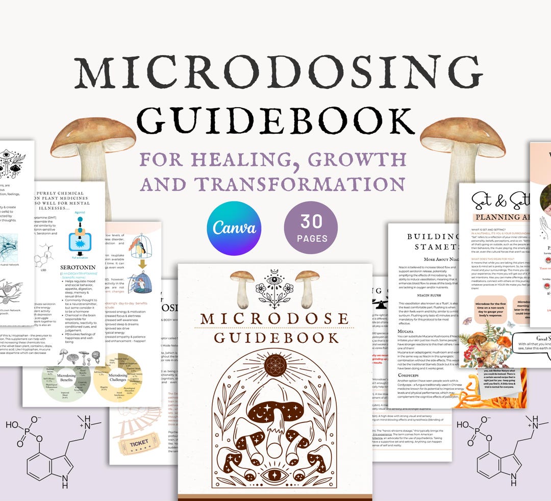 Microdosing Guide Microdose Mushrooms Book: Your Guide to Magic Mushroom Journaling ...