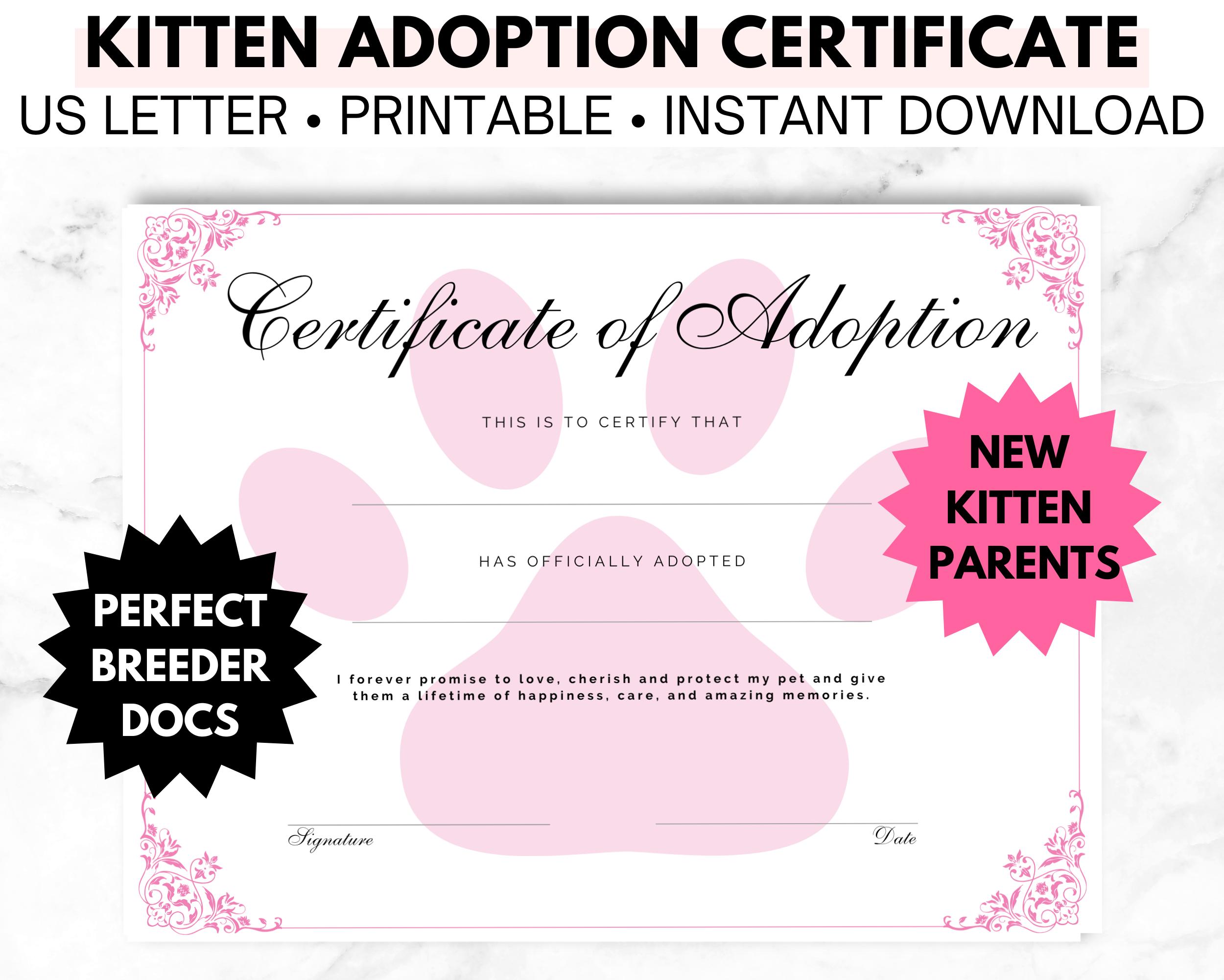 Kitten Certificate of Adoption Dark Pink New Kitten Adoption Birthday ...