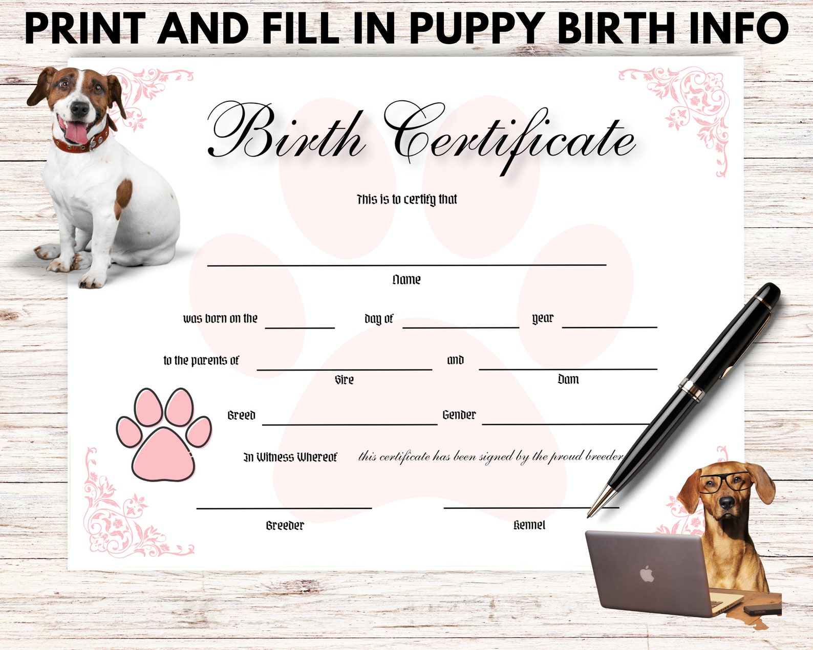 Puppy Birth Certificate Pink, Puppy Birthday Party, Pet Sitter Gift ...