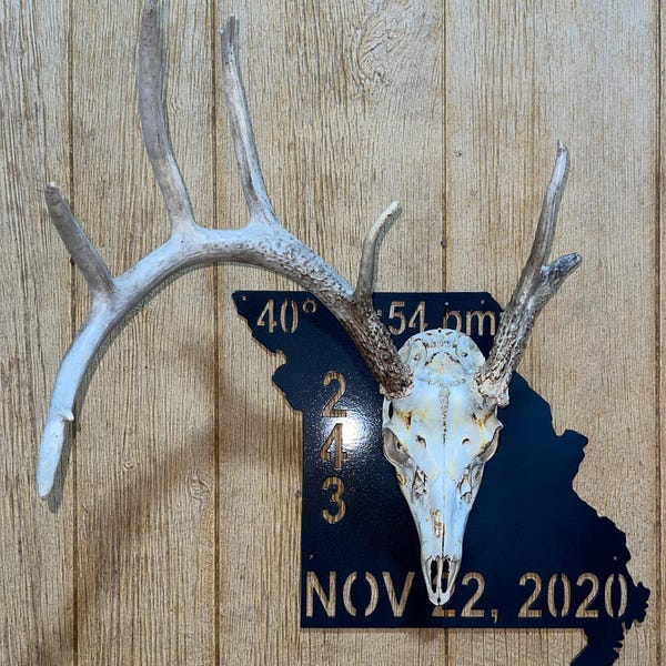 European Mount - Etsy