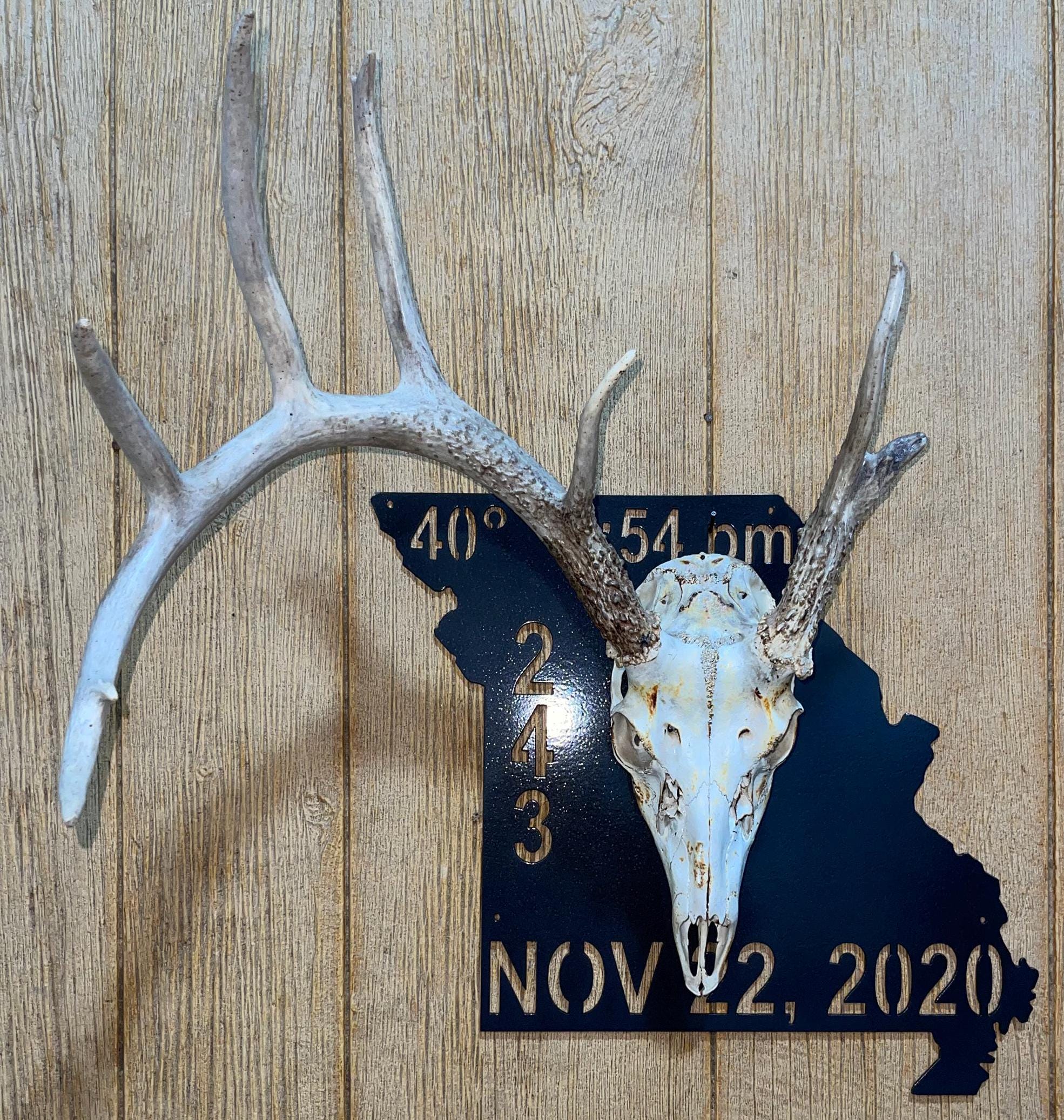 Deer European Mount Plaques-custom - Etsy