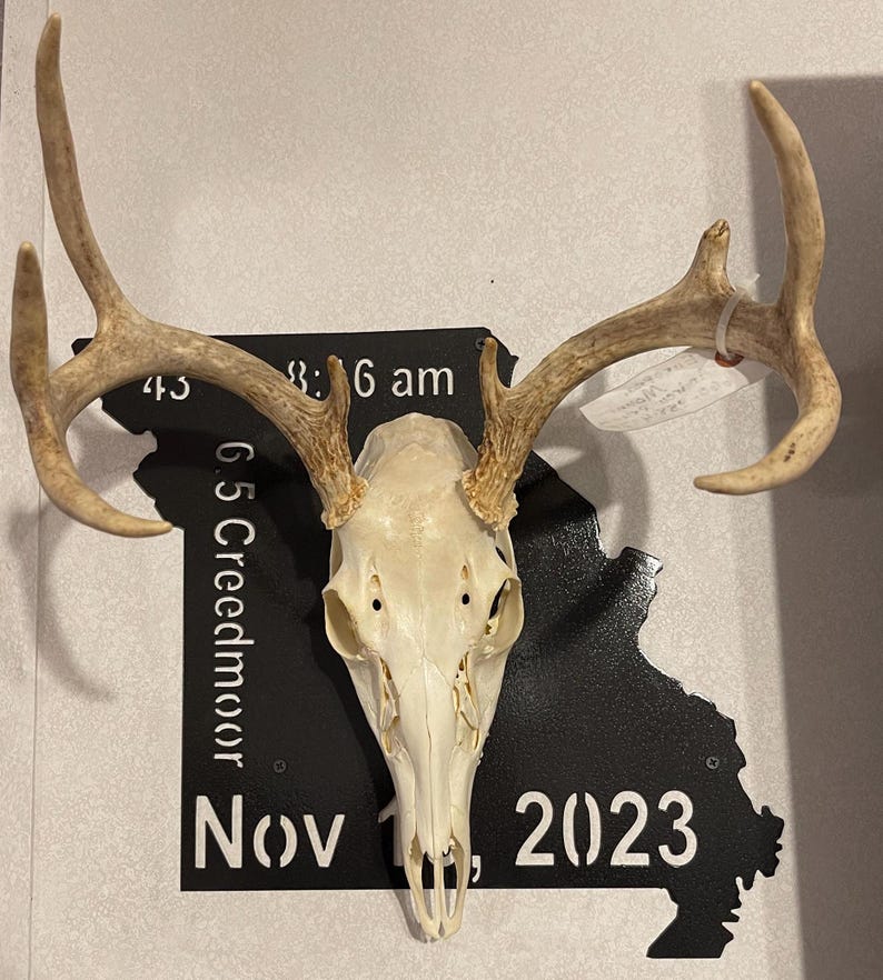 Deer European Mount Plaques-custom - Etsy