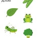 Colour Sorting Nature-themed Printable Activity Sheets for Toddlers ...