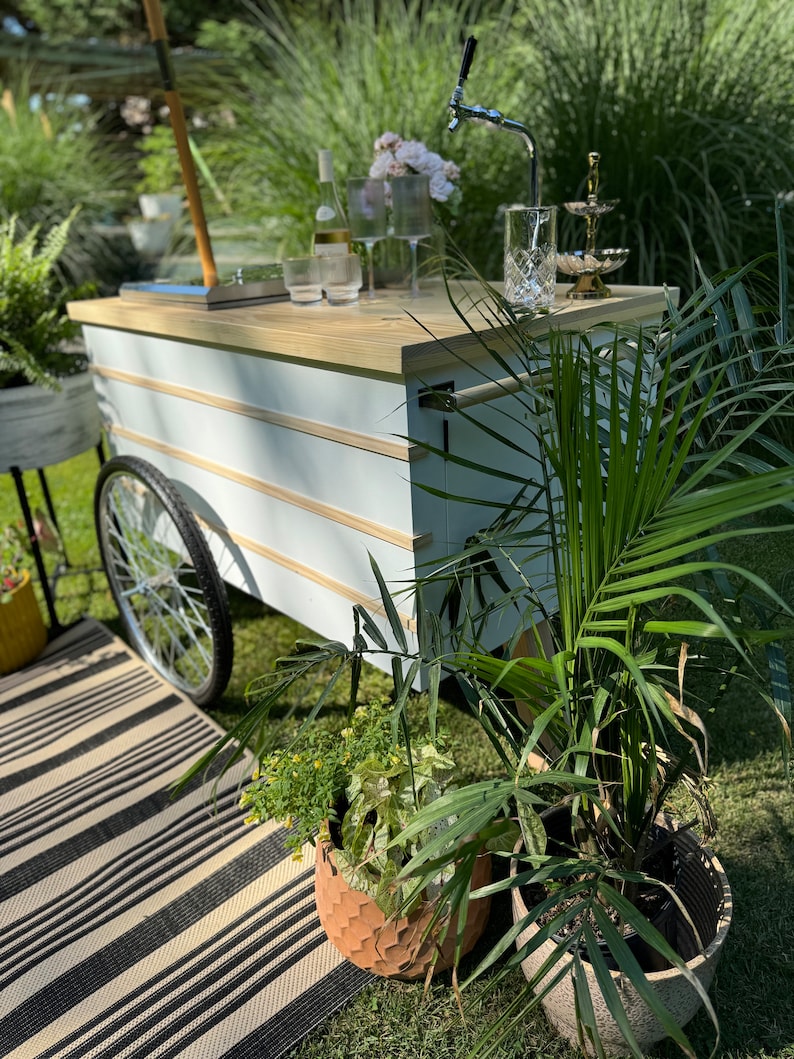 Bar Cart, Coffee Cart, Beverage Cart, Sundae Bar, Wedding Cart ...
