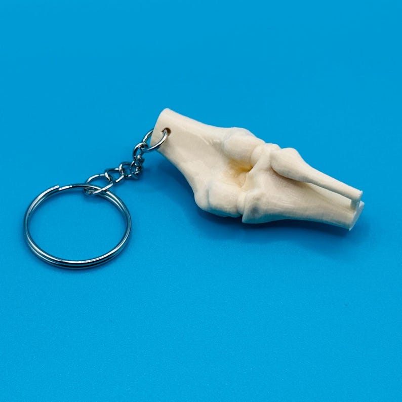 3D Printed Anatomy - RIGID Knee Orthopedic Series Keychain - Etsy
