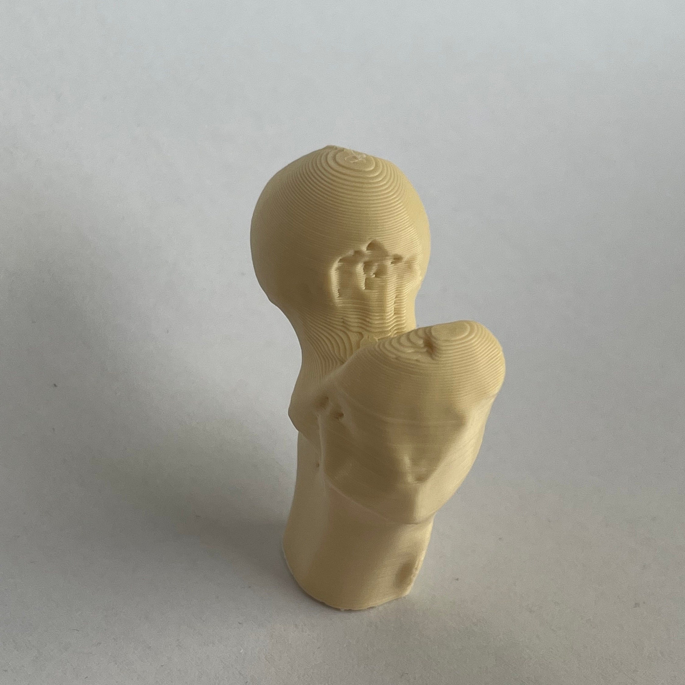 Entire Skeletal System 3D Model Files 200 - Etsy