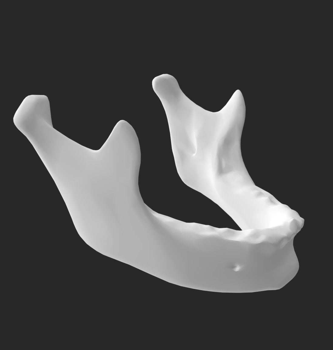 Entire Skeletal System 3D Model Files 200 - Etsy