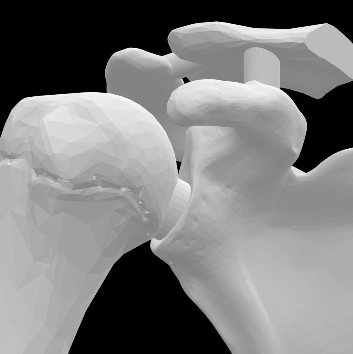 3D Printed Anatomical Shoulder Joint Model With Stand - Etsy