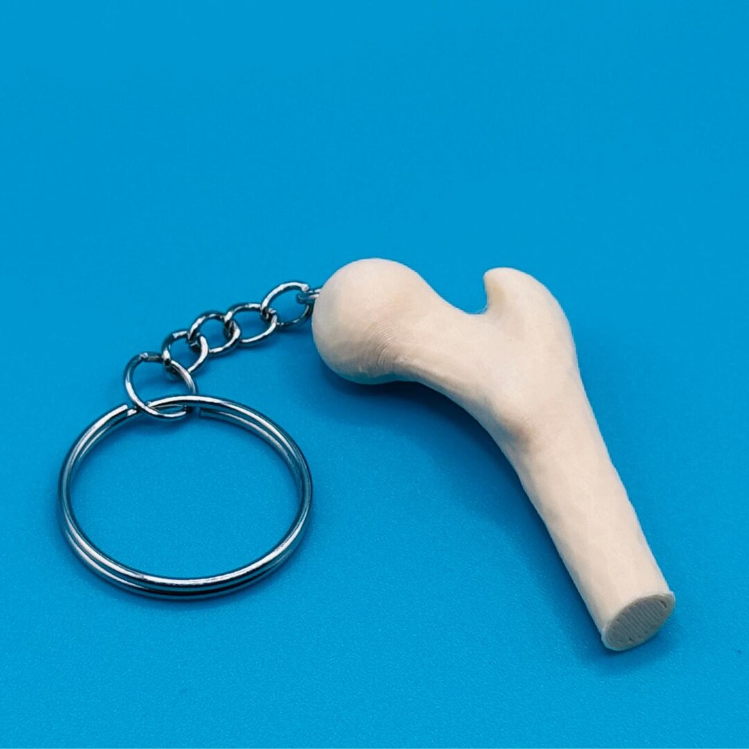 3D Printed Anatomy - Femur Orthopedic Series Keychain - Etsy
