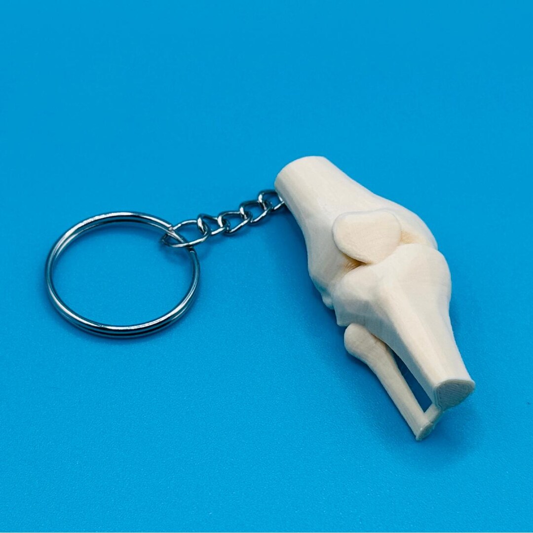 3D Printed Anatomy - Knee Orthopedic Series Keychain - Etsy