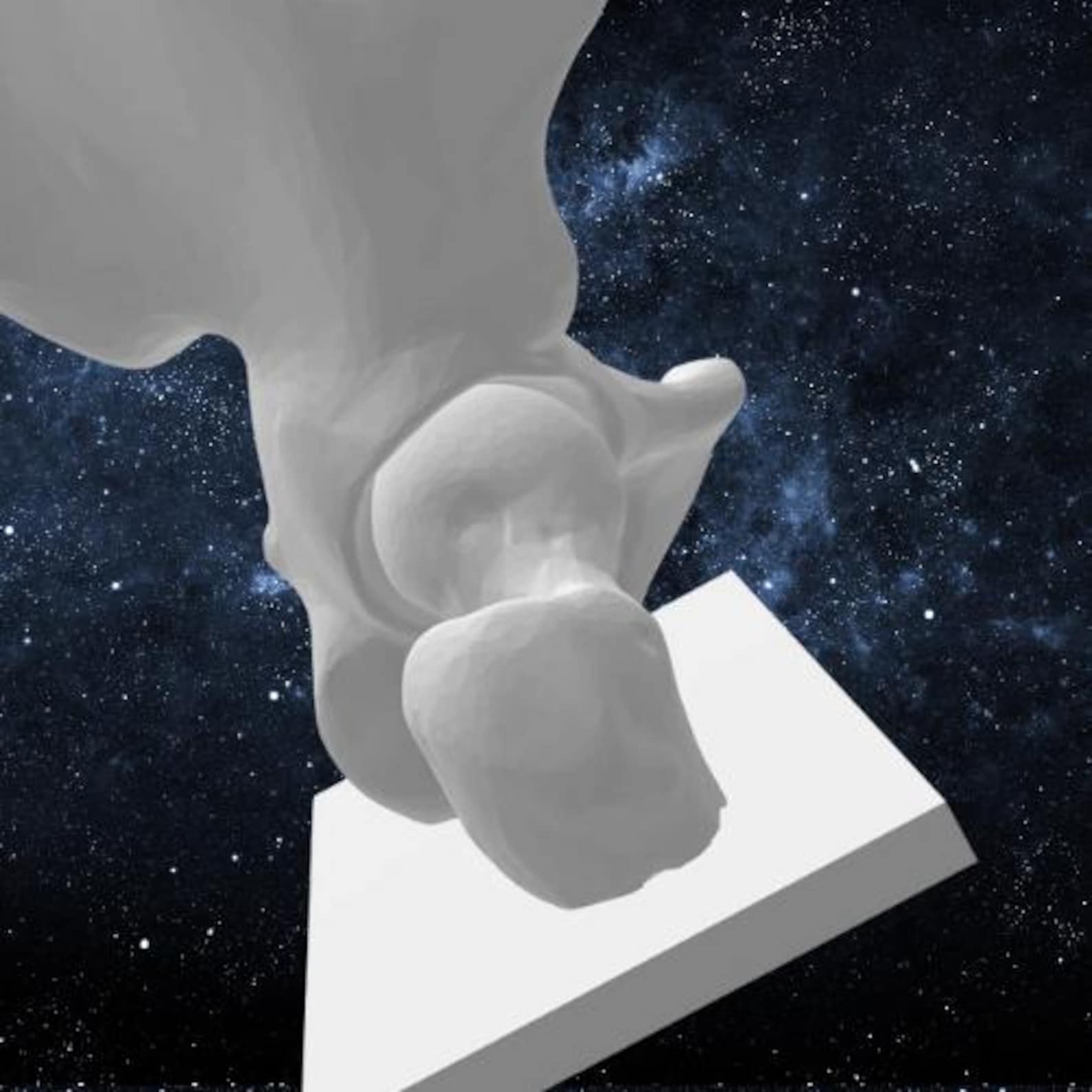 Hip Joint With Right Humerus and Sacrum Anatomical Model for 3D ...