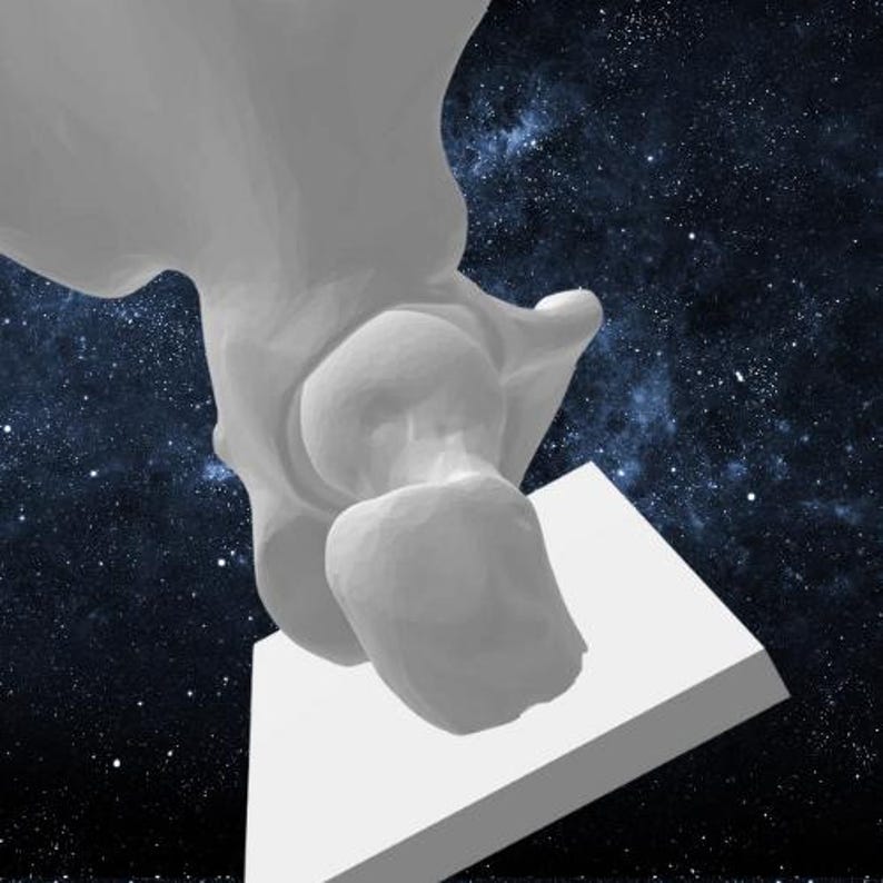 Hip Joint With Right Humerus and Sacrum Anatomical Model for 3D ...