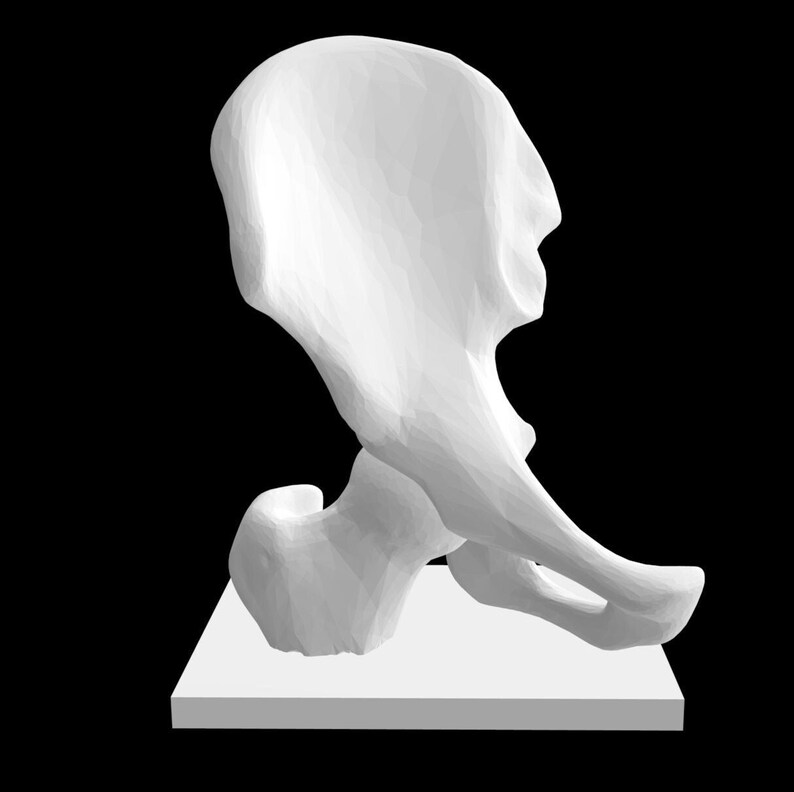 Hip Joint With Right Humerus and Sacrum Anatomical Model for 3D ...