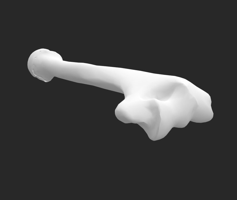 Entire Skeletal System 3D Model Files 200 - Etsy