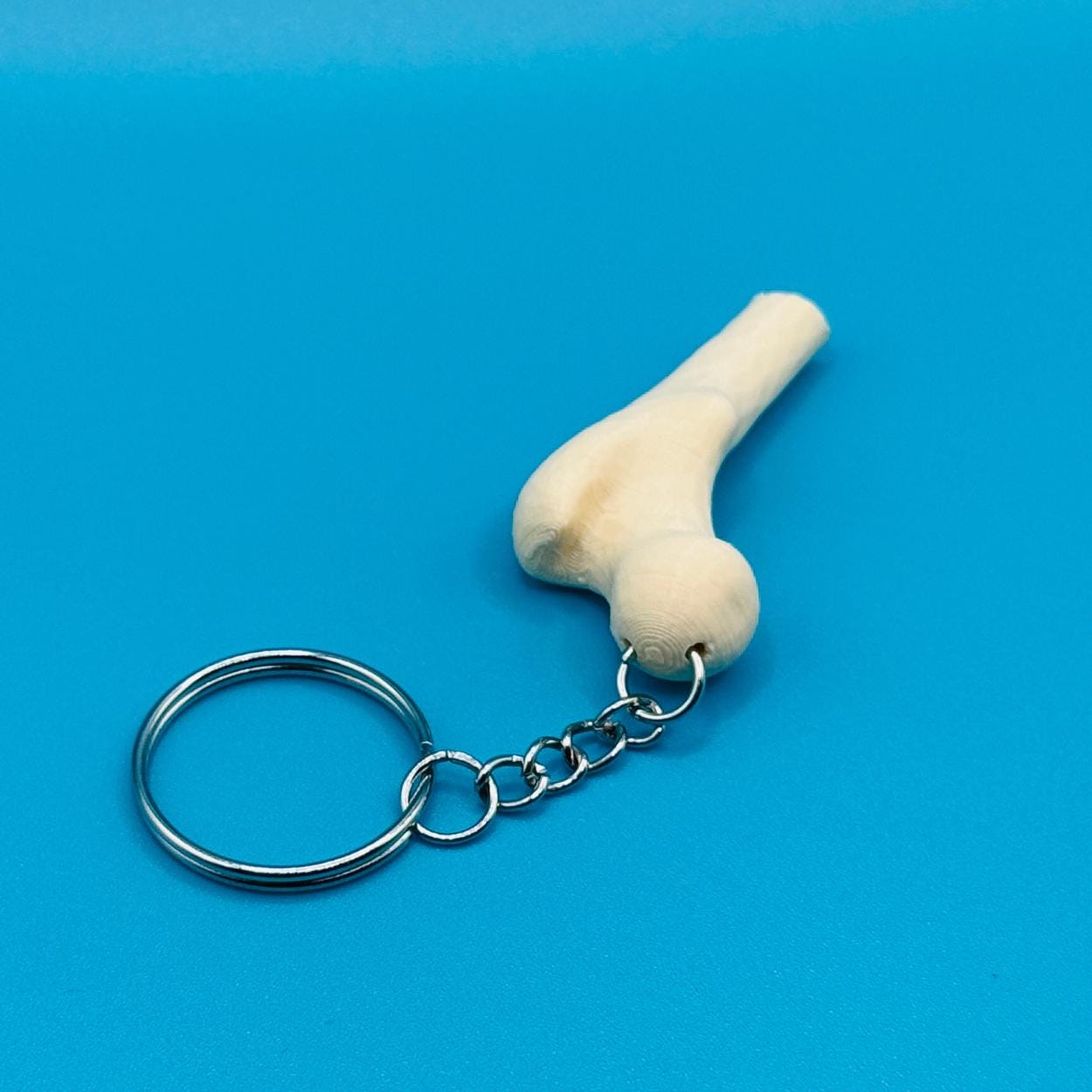 3D Printed Anatomy - Femur Orthopedic Series Keychain - Etsy