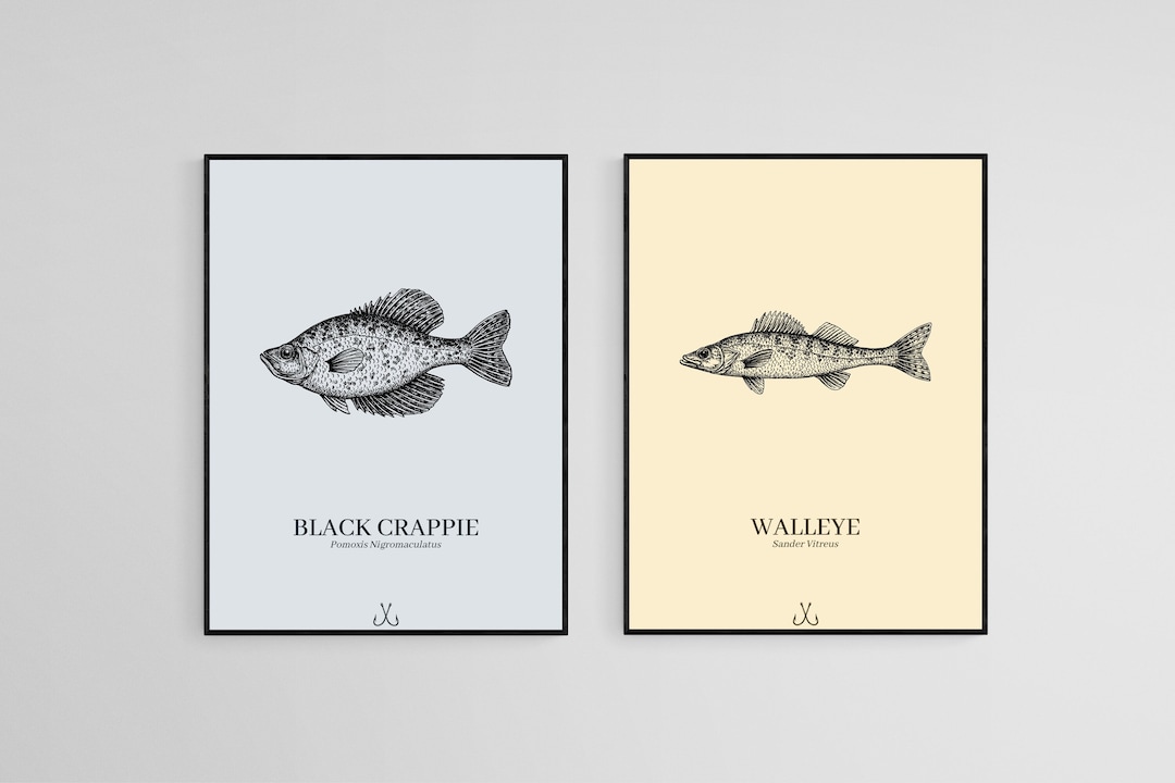 FISH POSTER BUNDLE Fishing Gift Freshwater Walleye Crappie Printable ...