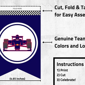 FORMULA 1 BUNTING BANNER F1 Banner Formula 1 Banner F1 Party Decor ...