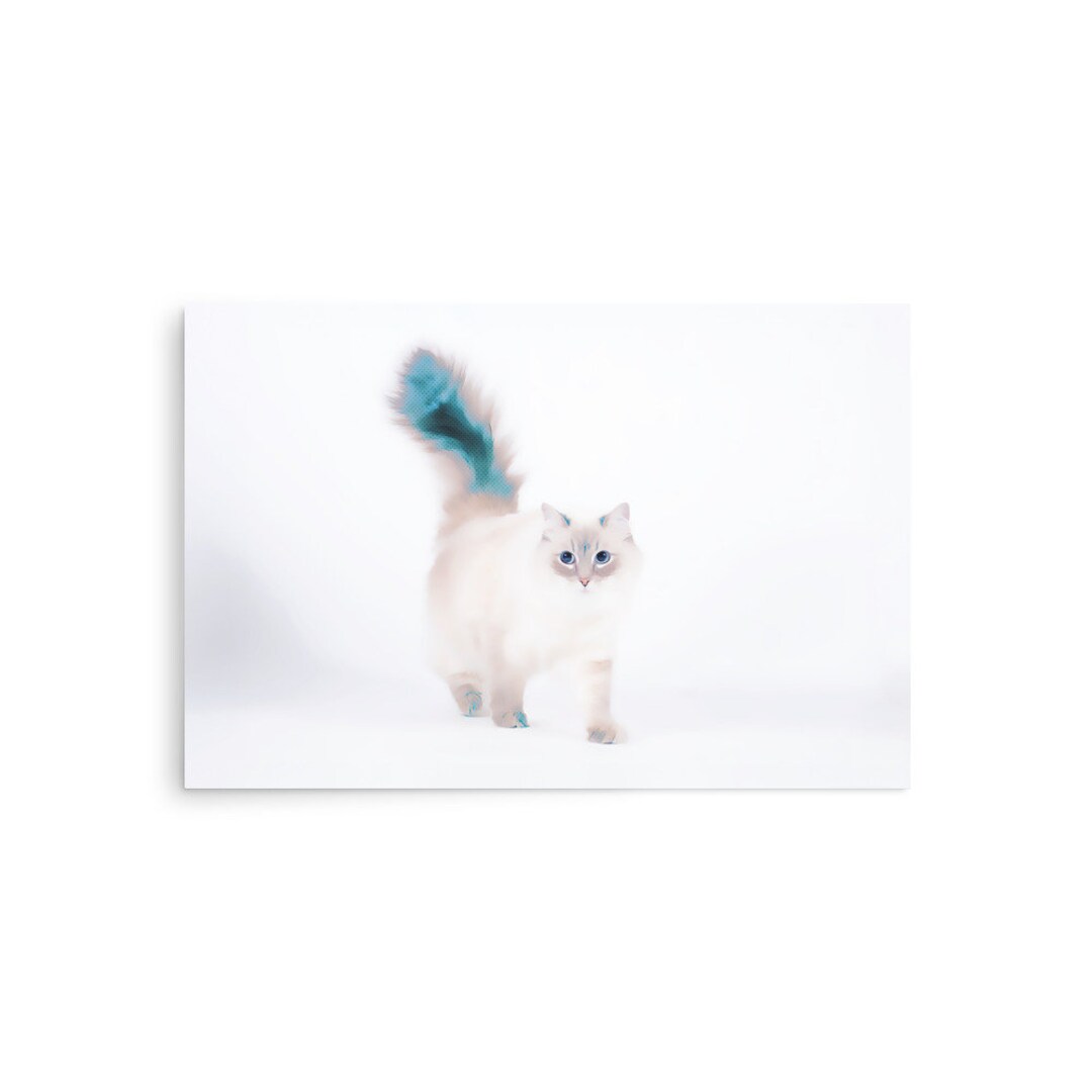 Whimsical Whiskers Pop Art Cat Poster - Etsy