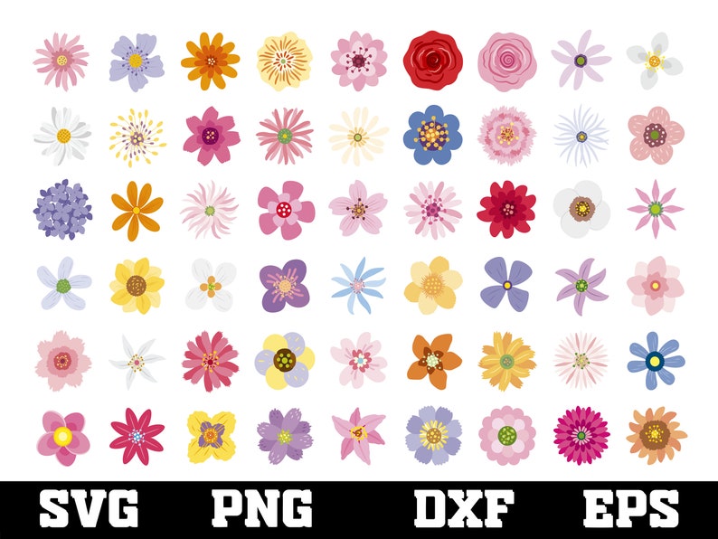 Flower Bundle Svg , Flowers Clipart , Botanical Svg , Flowers Svg ...