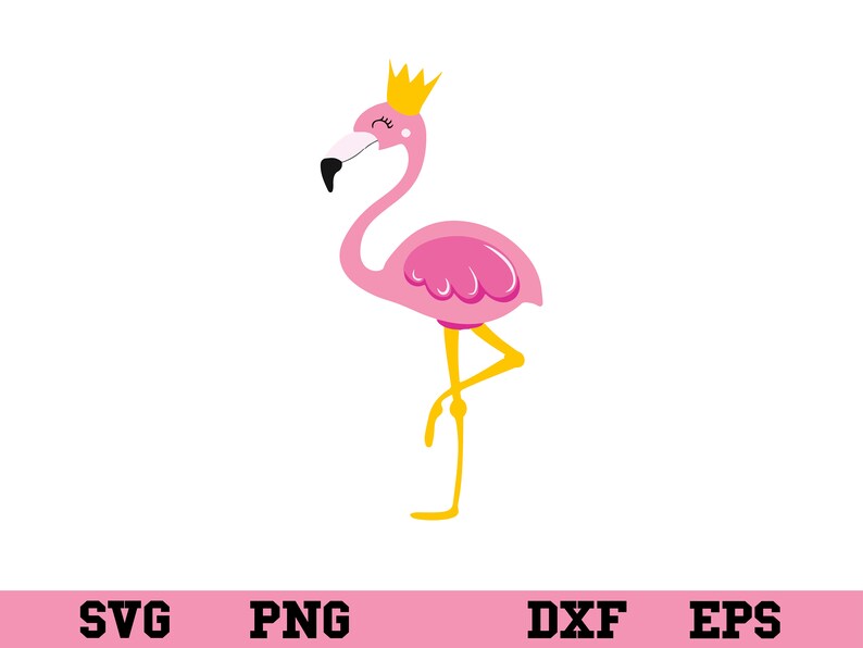 Flamingo Svg Bundle , Flamingo Clip Art , Flamingo PNG , Cute Flamingo ...