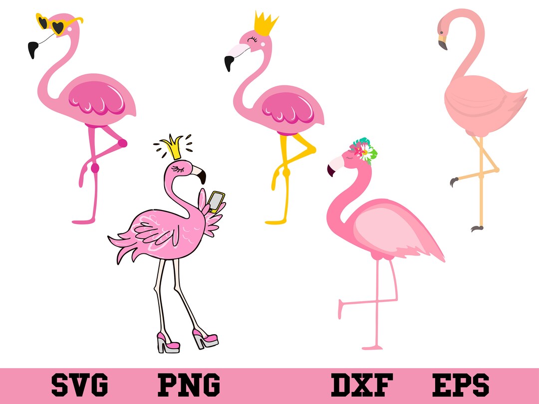 Flamingo Svg Bundle , Flamingo Clip Art , Flamingo PNG , Cute Flamingo ...