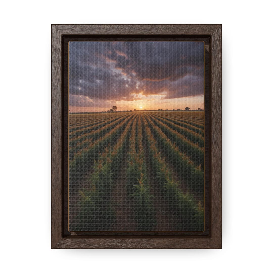 Canvas Print, Sorghum Millet Field, Mississippi Delta Agricultural ...
