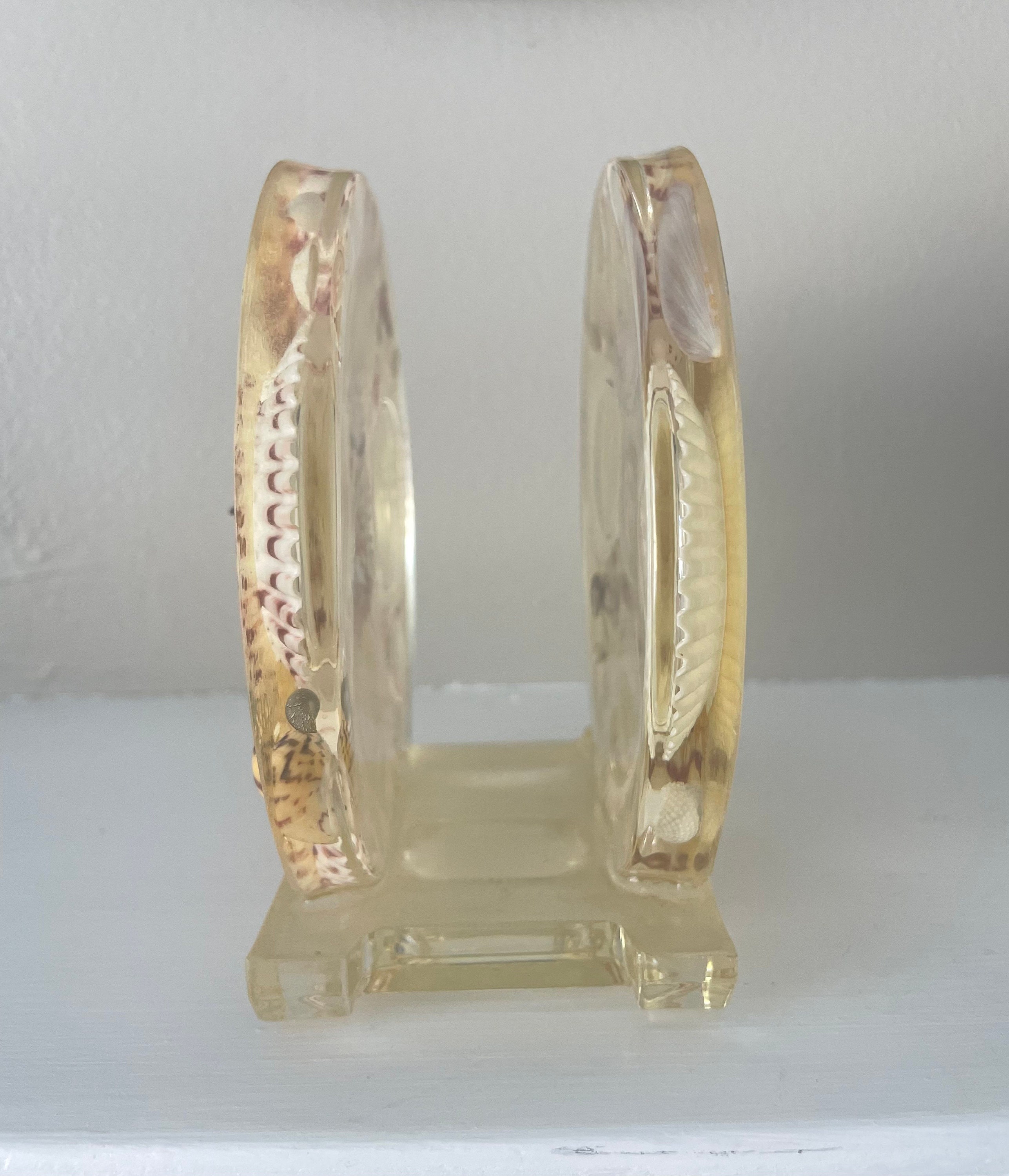 Vintage Lucite Shell Napkin Holder 1970s - Etsy
