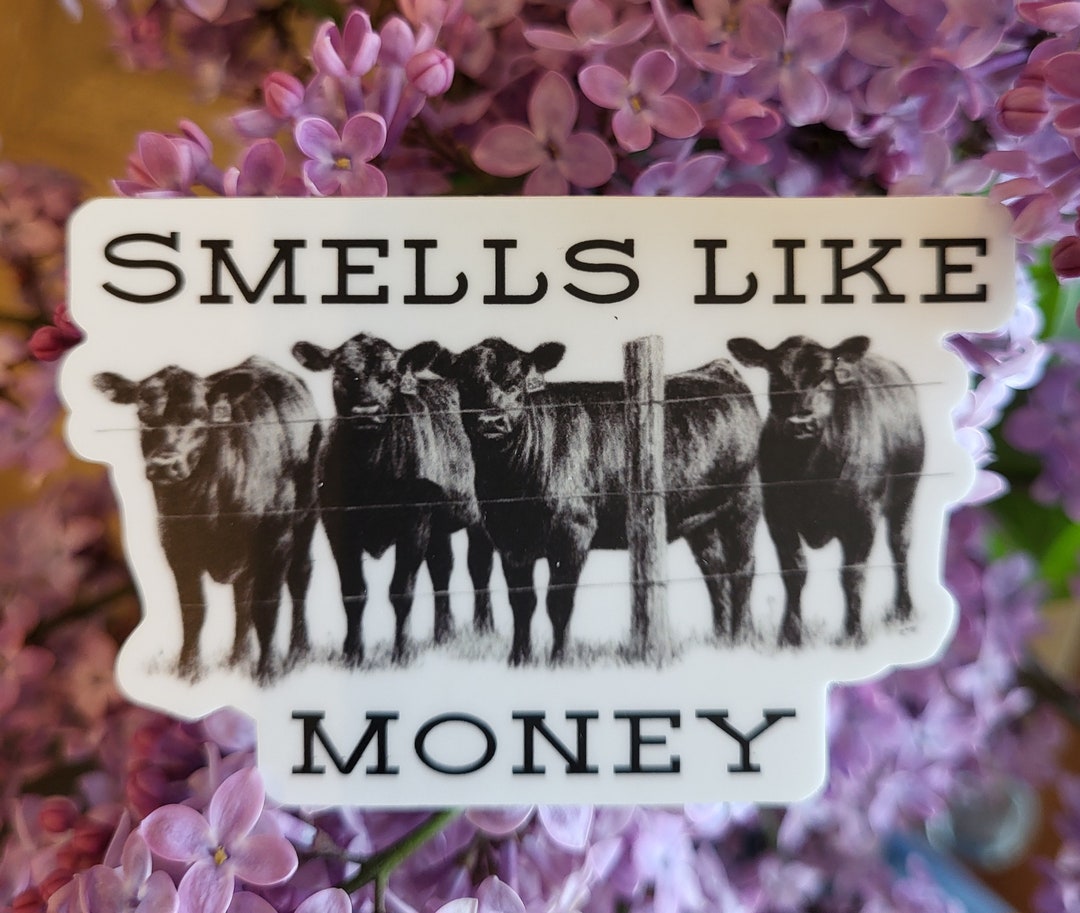 Cow Sticker, Angus Cow, Farm Sticker, Farming, Farmer, Agriculture, Ag ...