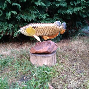 Arowana Golden Dragon, Exotic Fish - Etsy