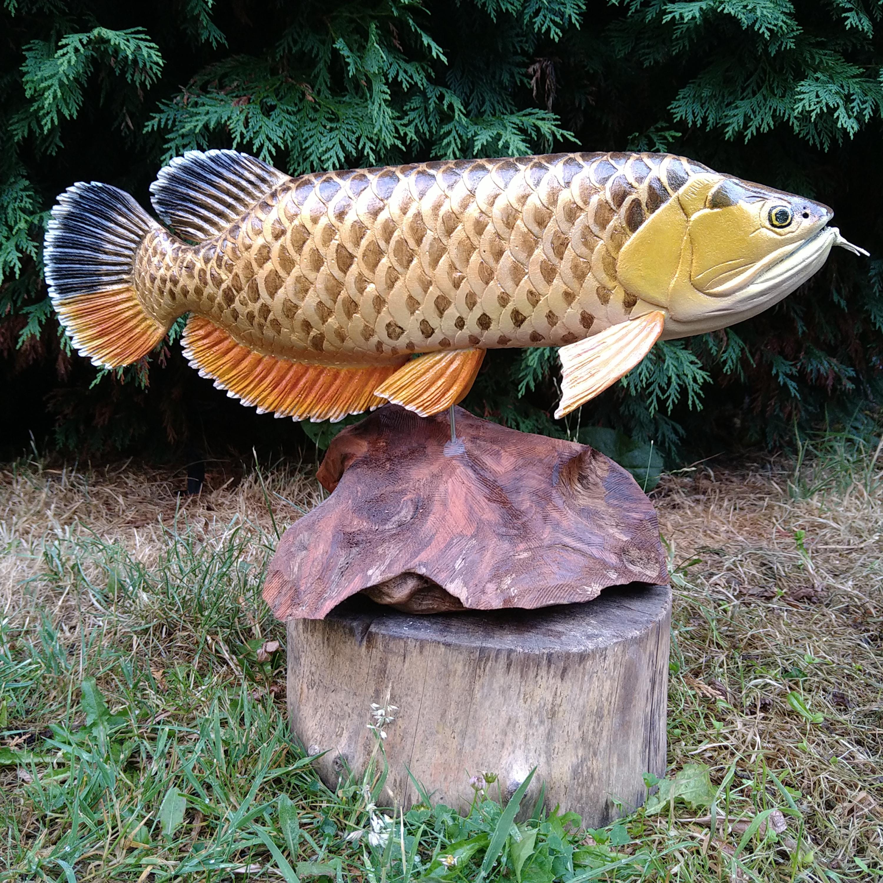 Arowana Golden Dragon, Exotic Fish - Etsy
