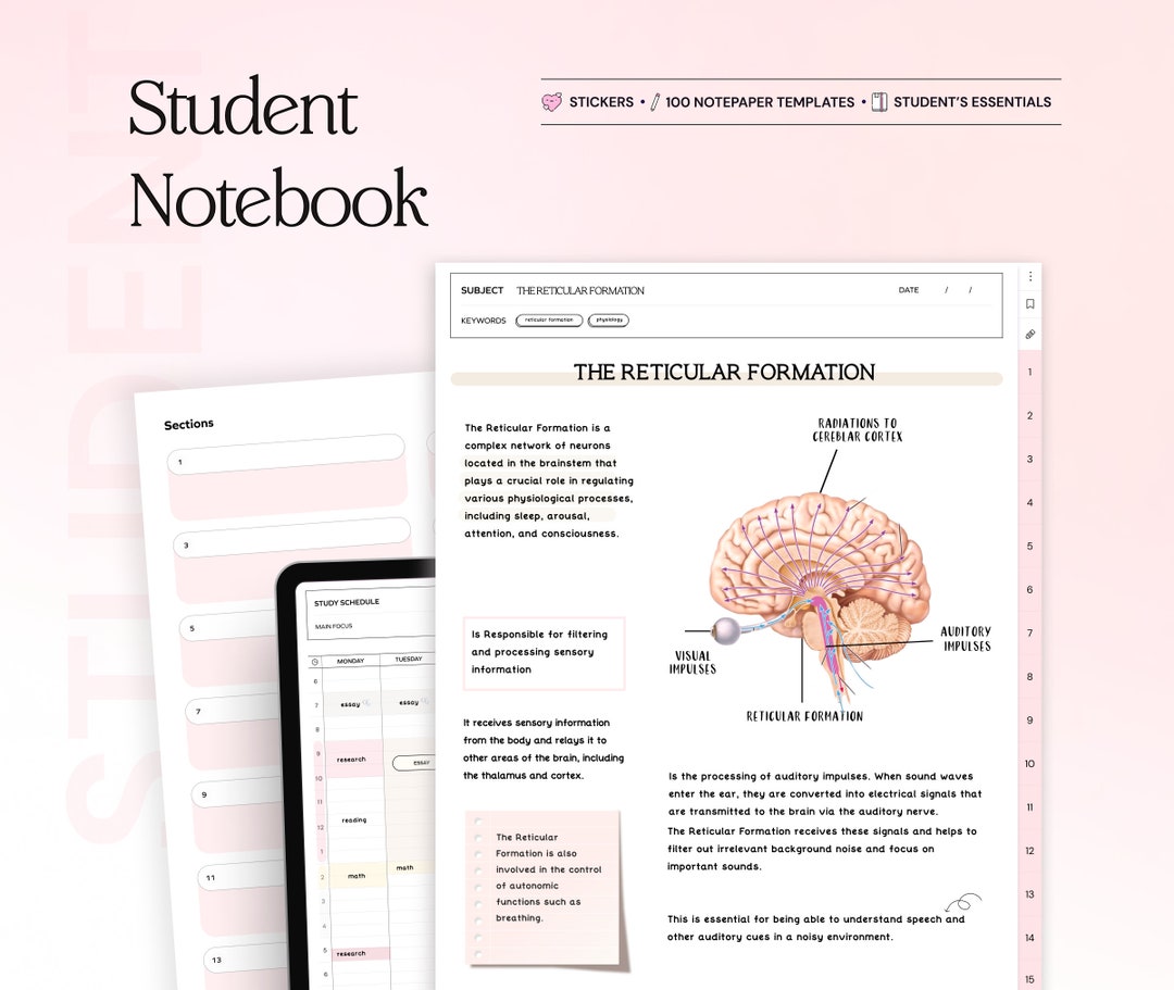 Student Digital Notebook Goodnotes iPad Notebook Notepaper Hyperlinked ...