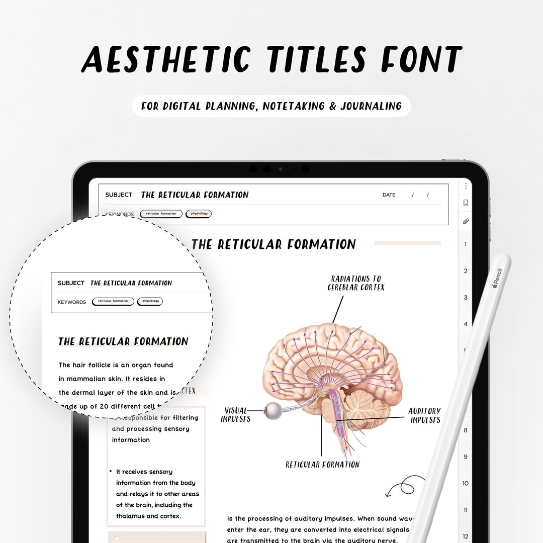 Title Handwritten Font Digital Planner iPad Handwrritng Font for ...