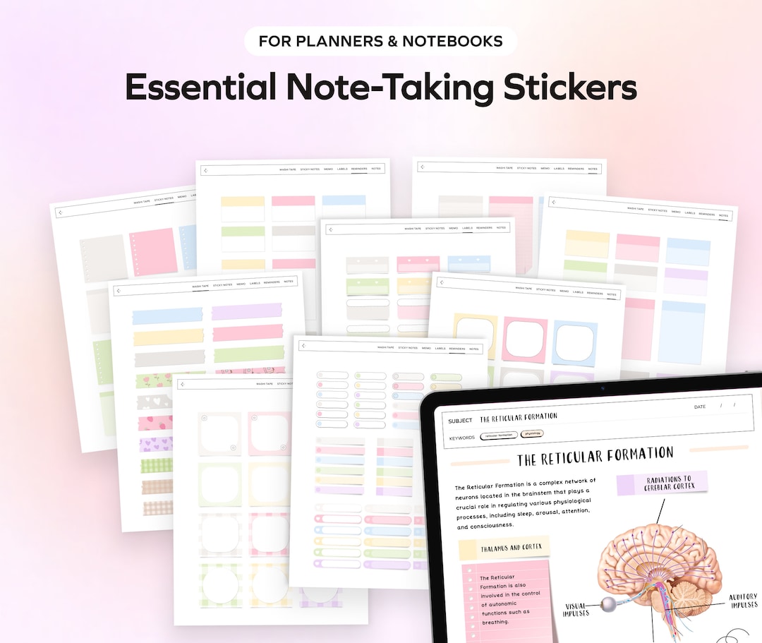 Student Digital Stickers for Planner Goodnotes Precropped Study ...
