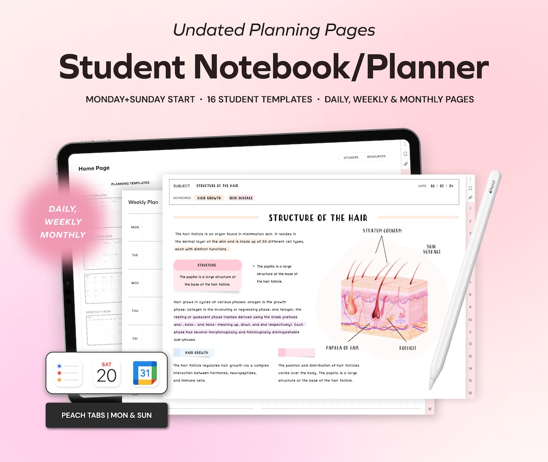 Student Undated Planner and Notebook, Daily Weekly Monthly Planner for ...