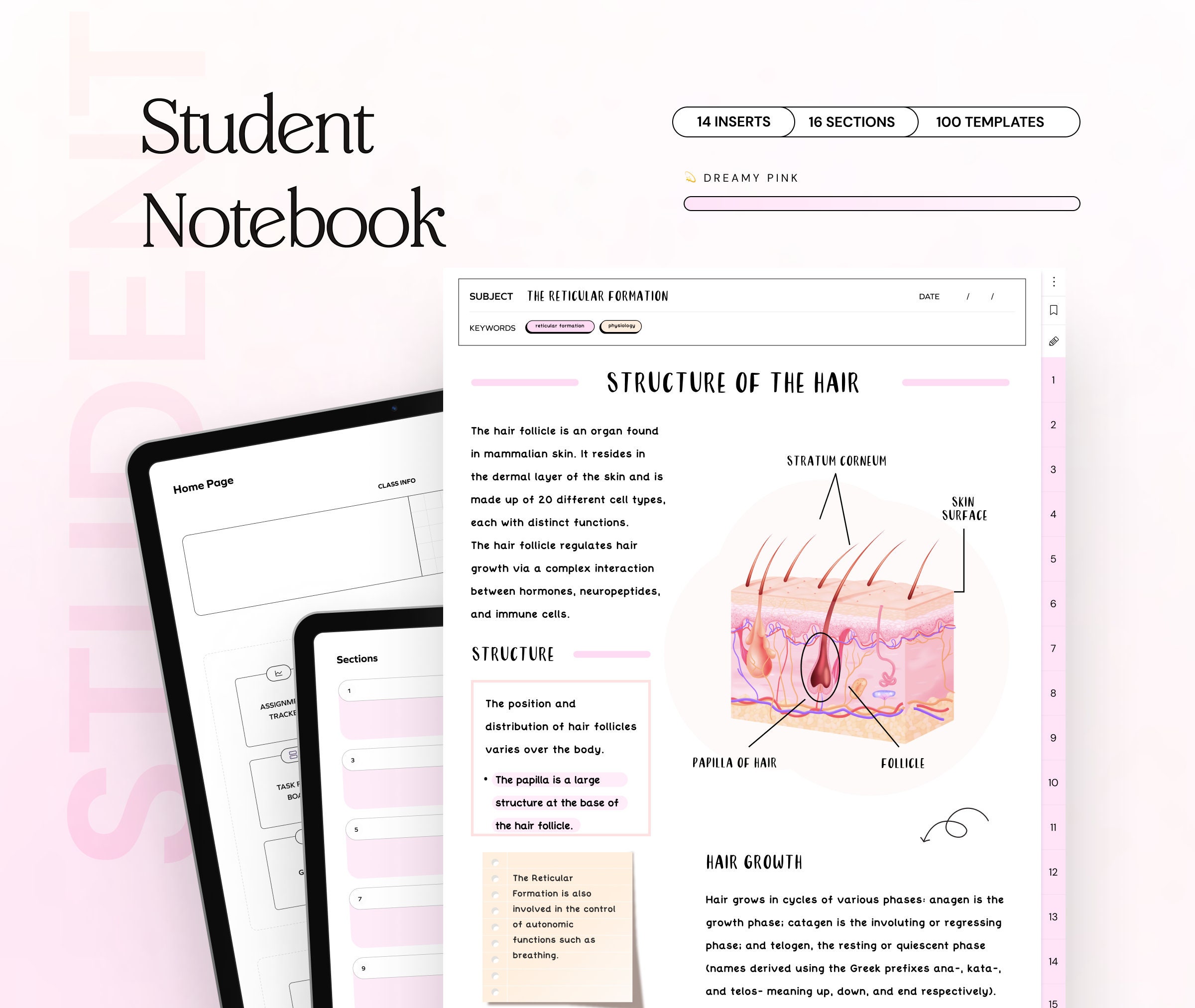 Student Digital Notebook Goodnotes iPad Notebook Notepaper Hyperlinked ...